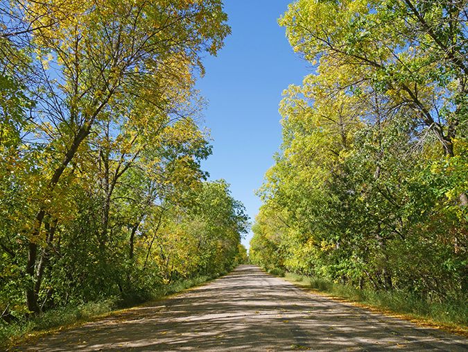 5 Things to do at Grahams Island State Park | Official North Dakota ...