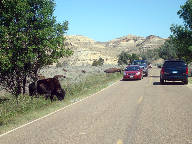 Theodore Roosevelt Expressway (Highway 85) Tour