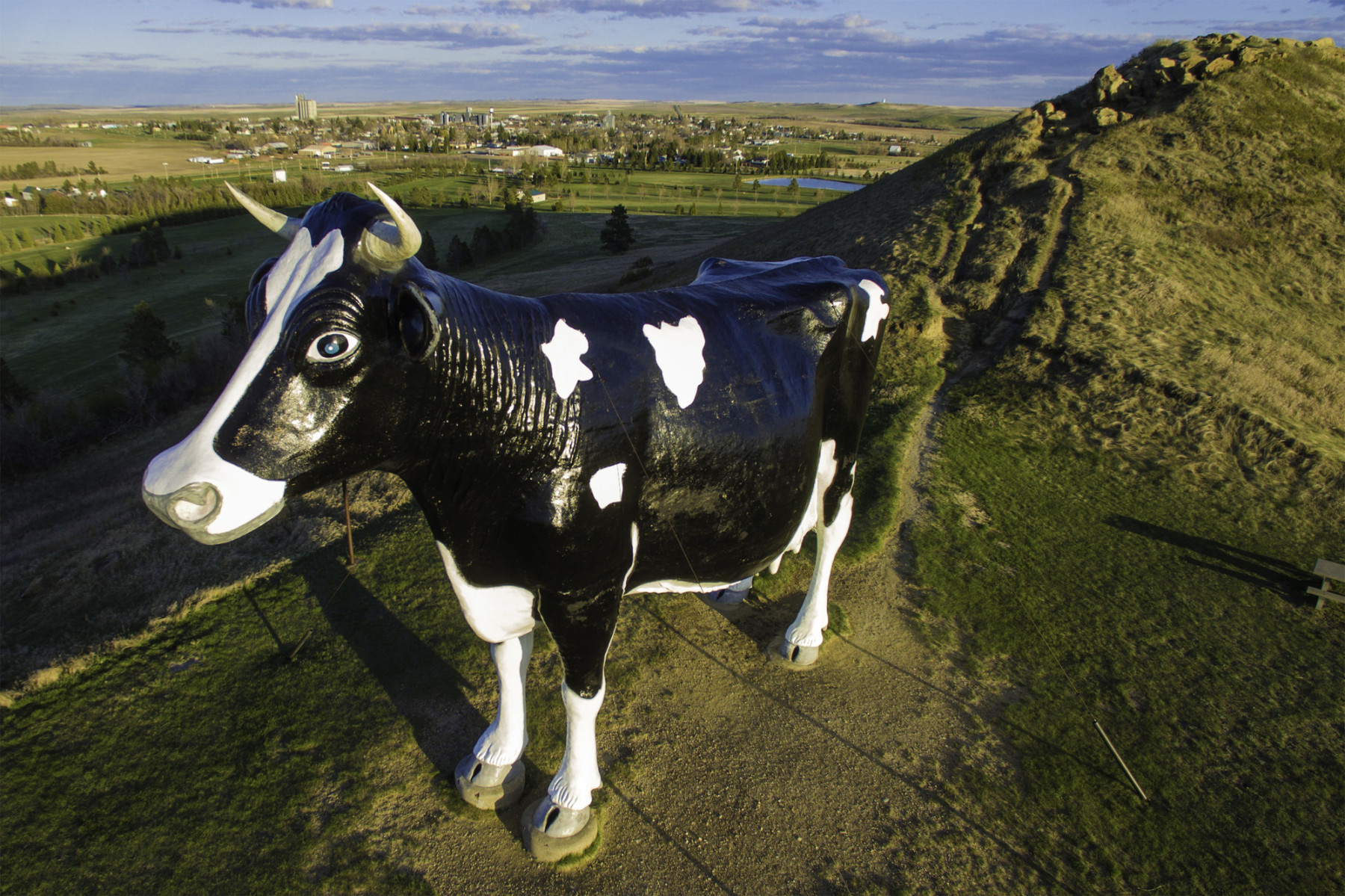 Salem Sue | Official North Dakota Travel & Tourism Guide