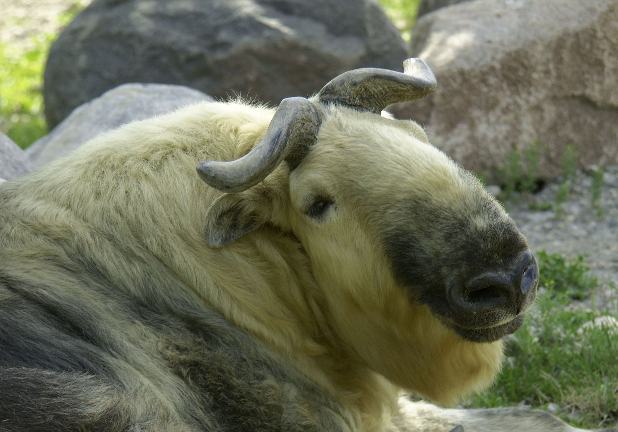 Red River Zoo Official North Dakota Travel Tourism Guide