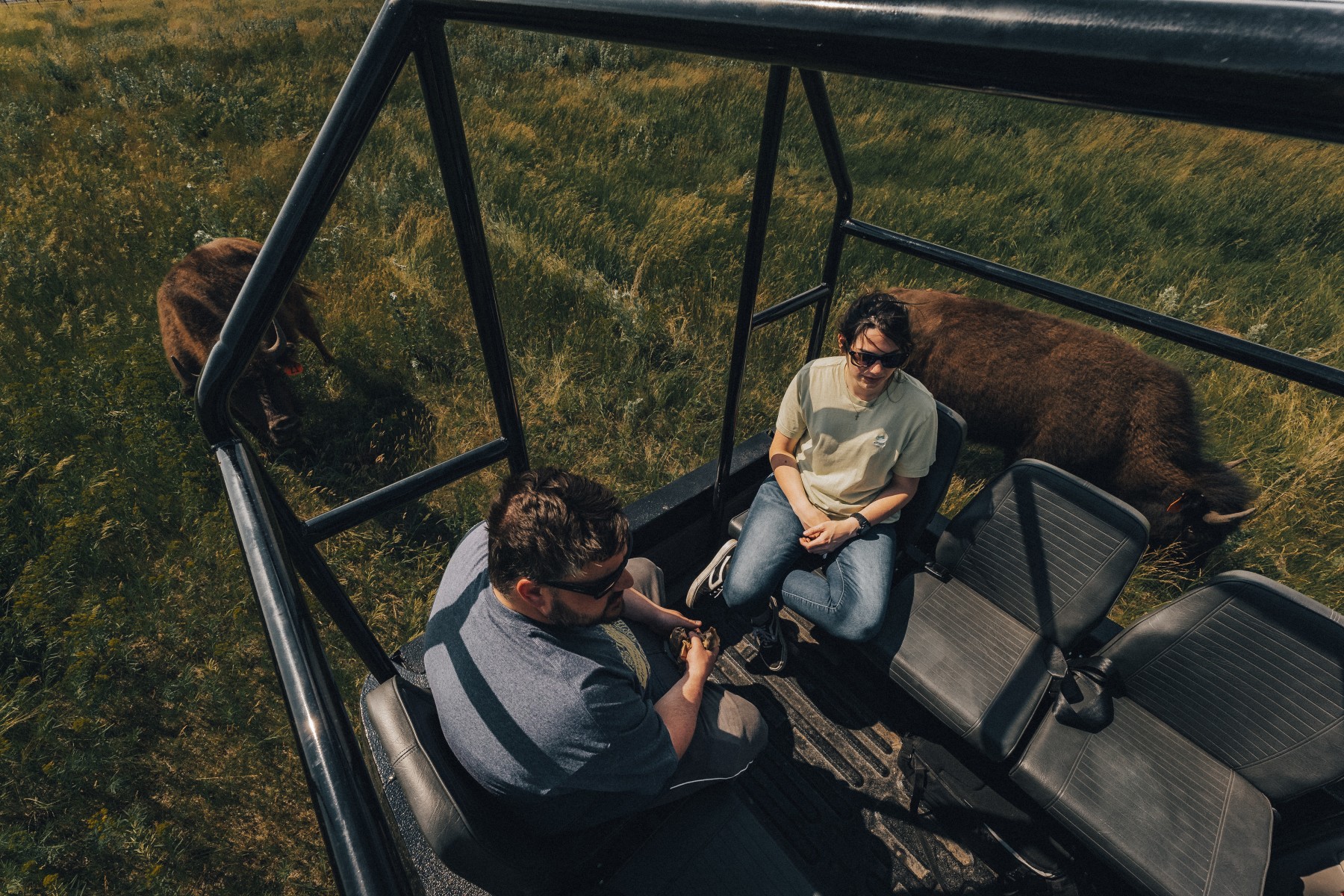 Bison Pasture Tours | Official North Dakota Travel & Tourism Guide
