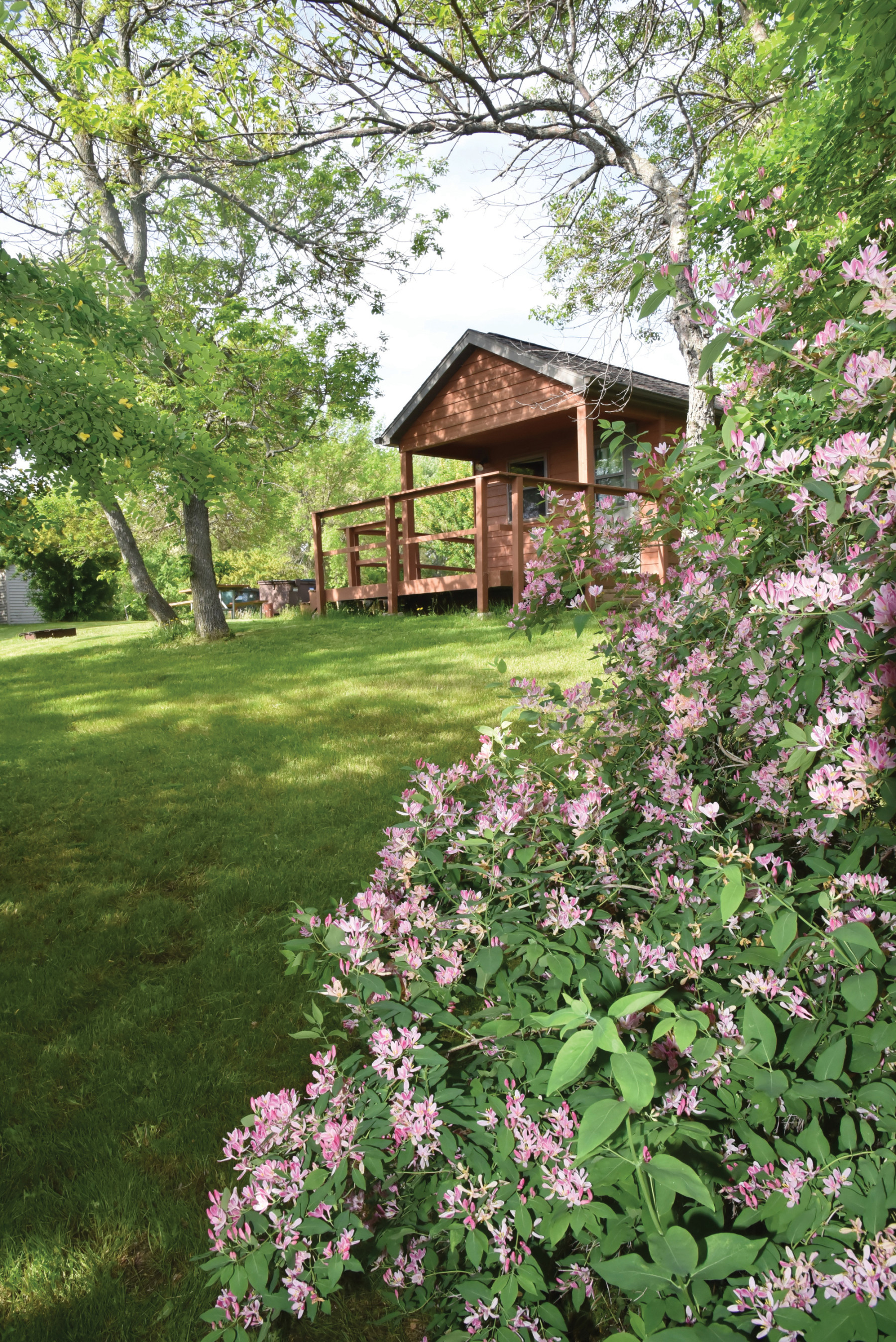 Beaver Lake State Park | Official North Dakota Travel & Tourism Guide