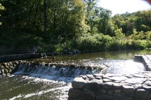 5 Things to see and do at Turtle River State Park | Official North ...