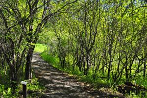 5 Things to see and do at Turtle River State Park | Official North ...