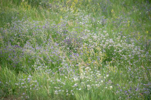 Linton | Official North Dakota Travel & Tourism Guide