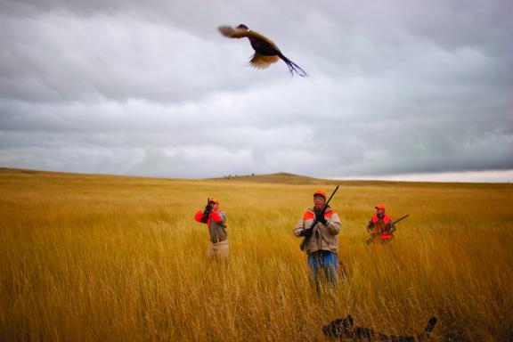 Hunting | Official North Dakota Travel & Tourism Guide