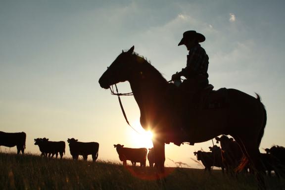 Ranches & Farms | Official North Dakota Travel & Tourism Guide