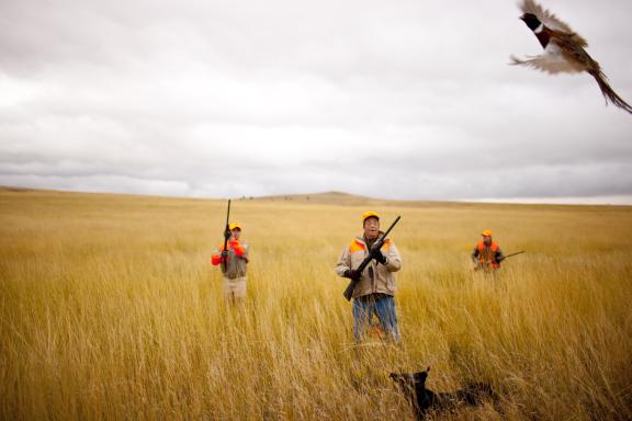 Hunting | Official North Dakota Travel & Tourism Guide