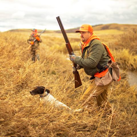 Pheasant Hunting in North Dakota | Official North Dakota Travel ...