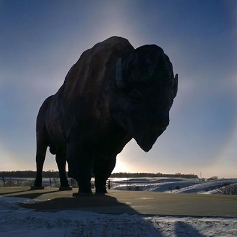 North Dakota welcomes you. | Official North Dakota Travel & Tourism Guide