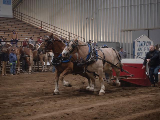 North Dakota Winter Show Events Center | Official North Dakota Travel ...